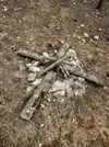 How to Build a Campfire [The Ultimate Guide] | Take The Truck