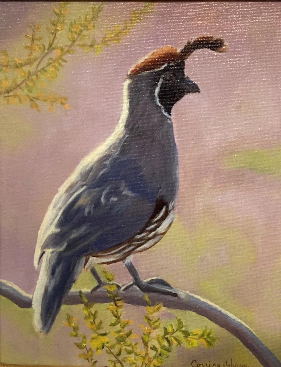 Oils — Thunderbird Artists Gallery