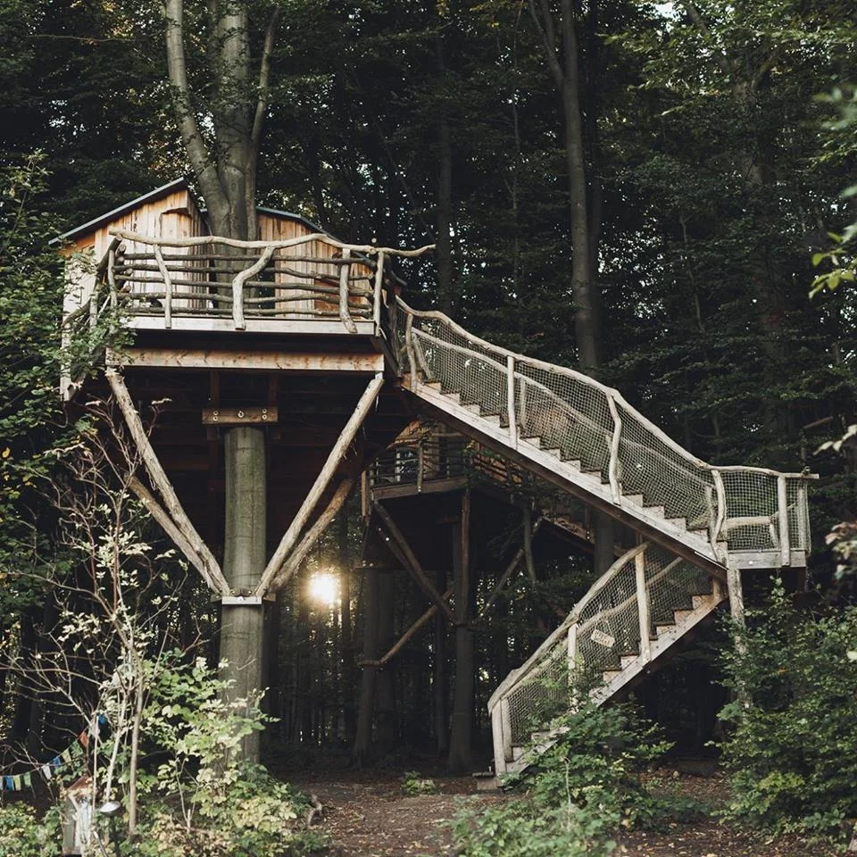 BIRCH TREEHOUSE — Baumhaushotel Robins Nest