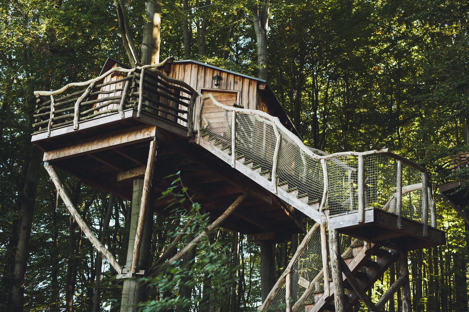 BIRCH TREEHOUSE — Baumhaushotel Robins Nest