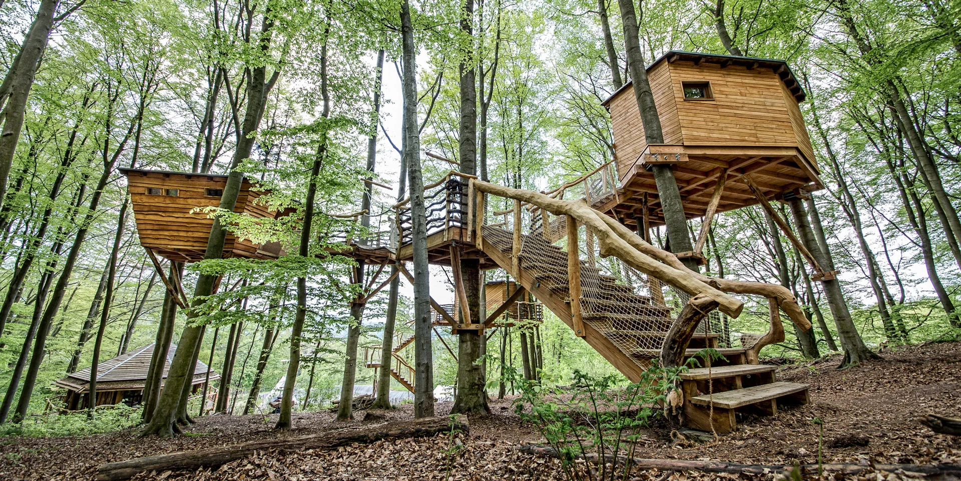 Robins Nest Baumhaushotel