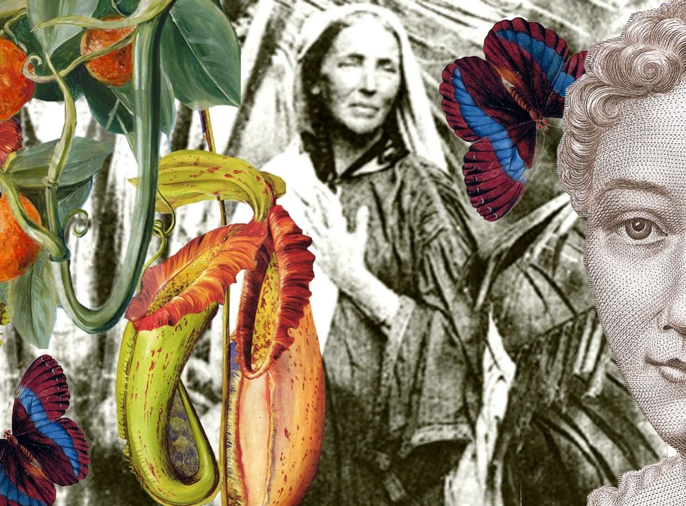 OUR CLASSES — THE FEMINIST LECTURE PROGRAM