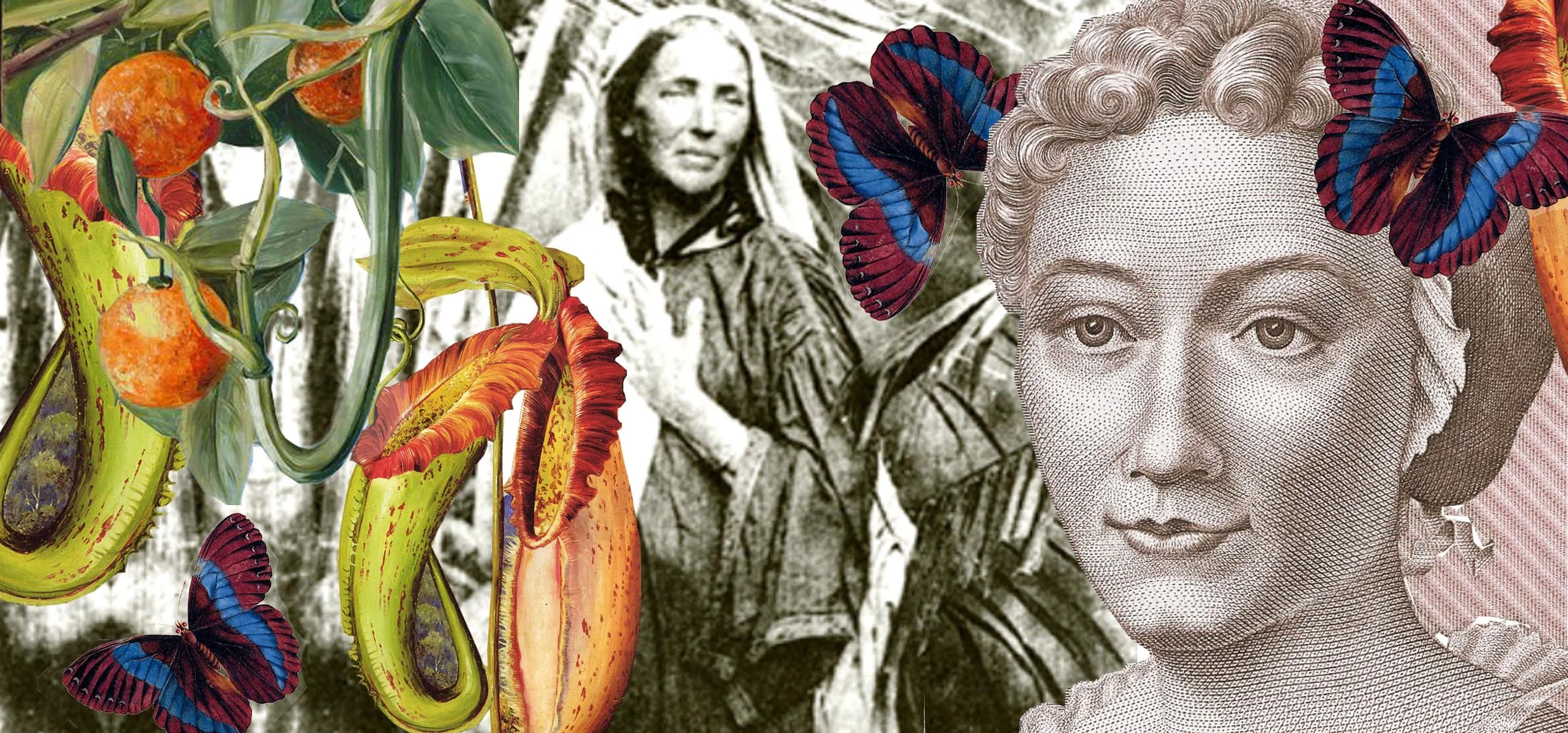 A FEMINIST'S GUIDE TO BOTANY — THE FEMINIST LECTURE PROGRAM