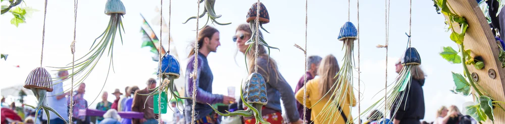 Festival Information — TROPICAL PRESSURE