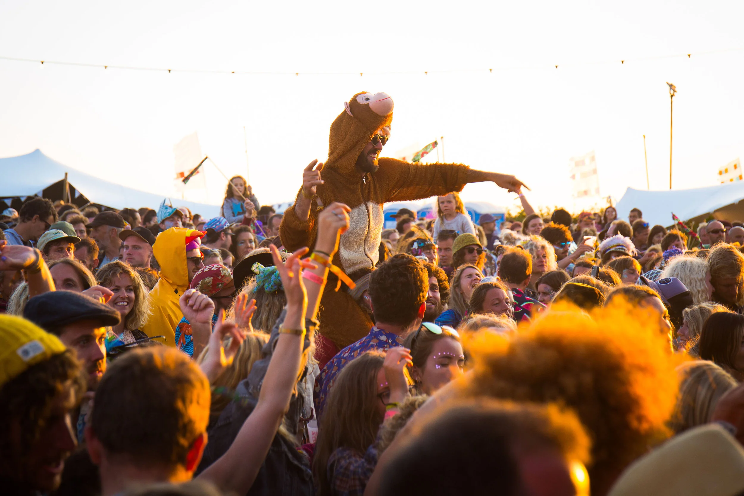 Festival Information — TROPICAL PRESSURE