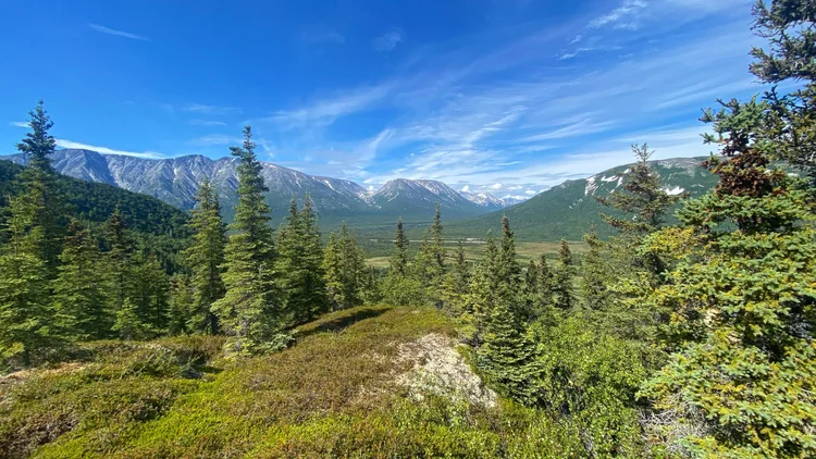 This Earth Day, Conservation Is Taking Shape Across the United States ...