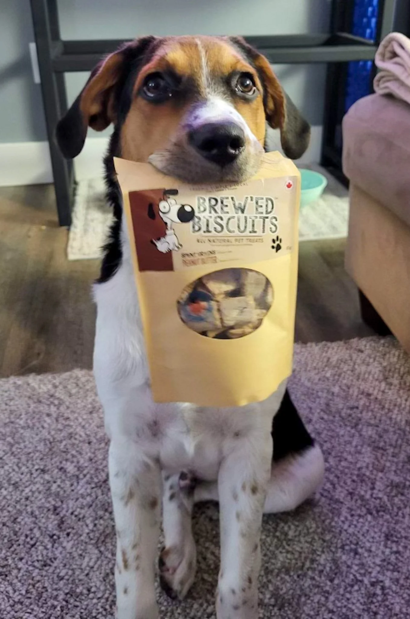 Earth Day - Fight Food Waste - with Pet Food! — Replate Blog