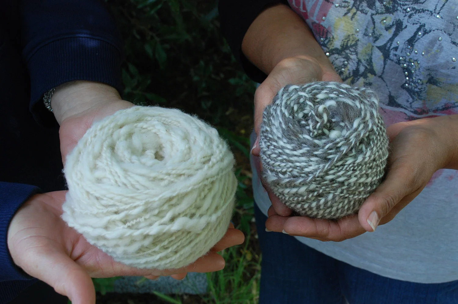 Jacob Sheep Wool Yarn, Fiber & Online Classes | Meridian Jacobs