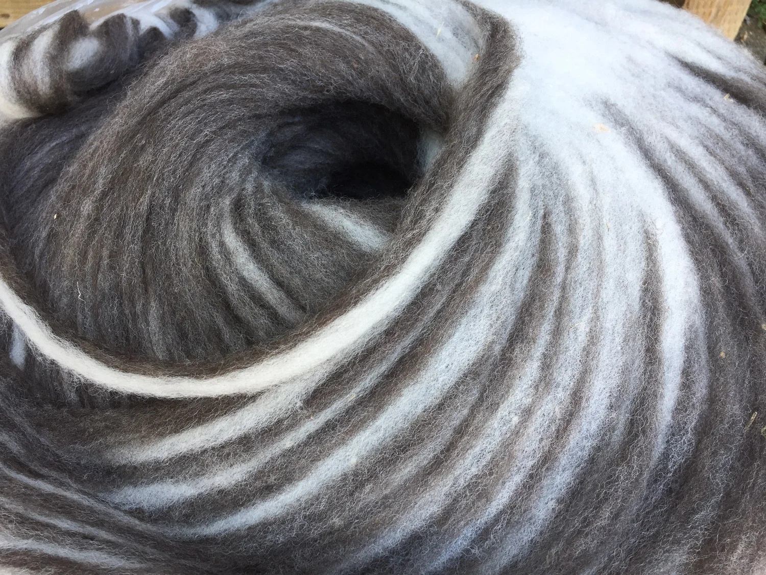 Jacob Sheep Wool Yarn, Fiber & Online Classes | Meridian Jacobs