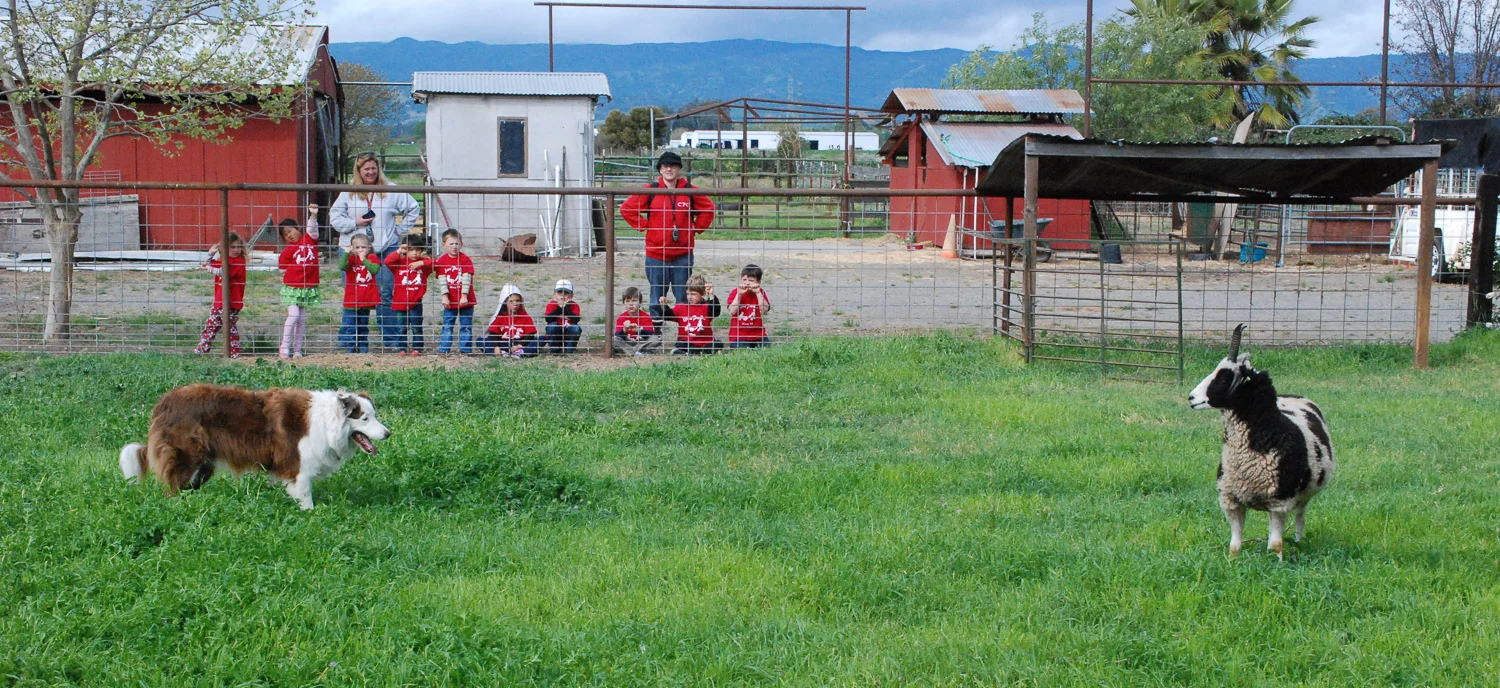 Farm Field Trips & Tours in Solano County, CA | Meridian Jacobs