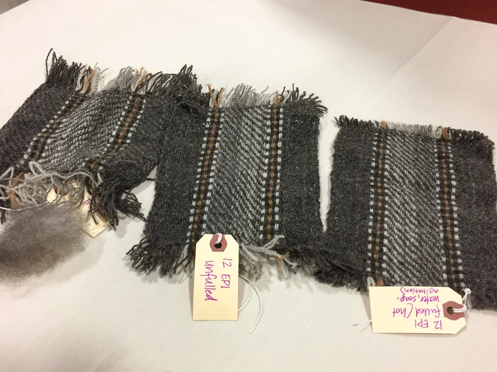 Black Sheep Gathering - Day 2 — Meridian Jacobs