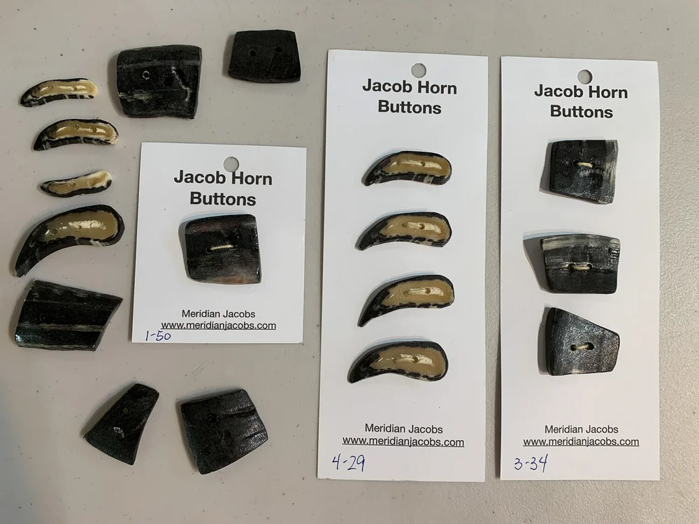 Making Horn Buttons — Meridian Jacobs
