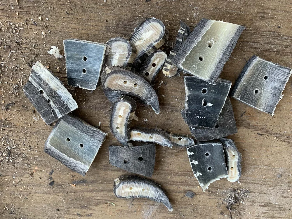 Making Horn Buttons — Meridian Jacobs