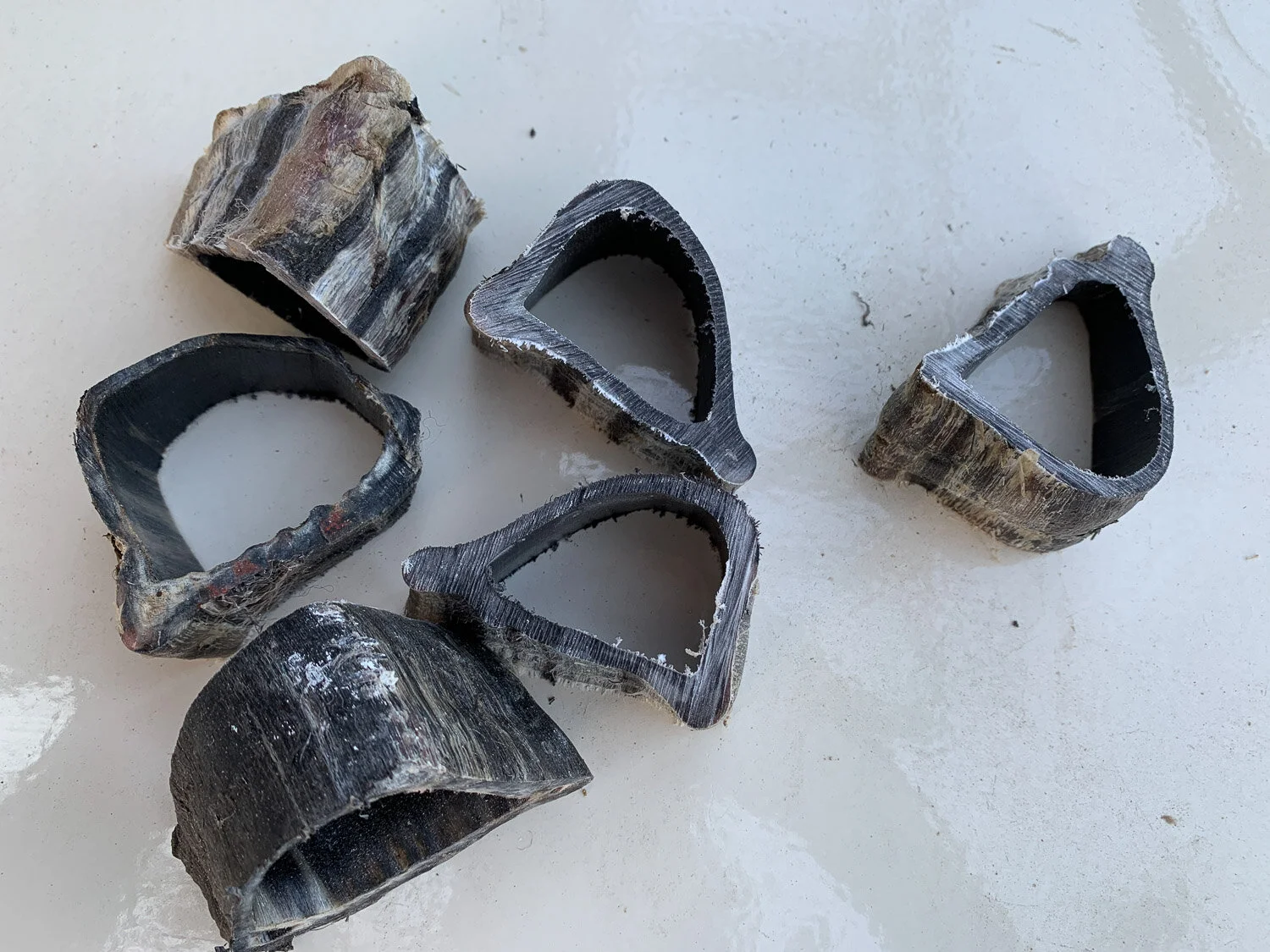 Making Horn Buttons — Meridian Jacobs