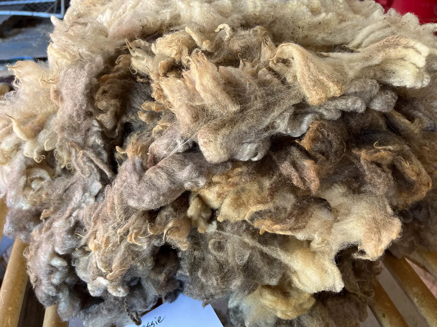 Wool Fleece & Fiber