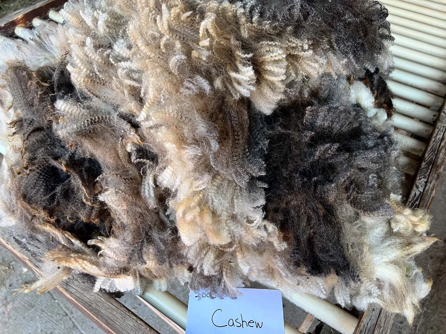 Wool Fleece & Fiber