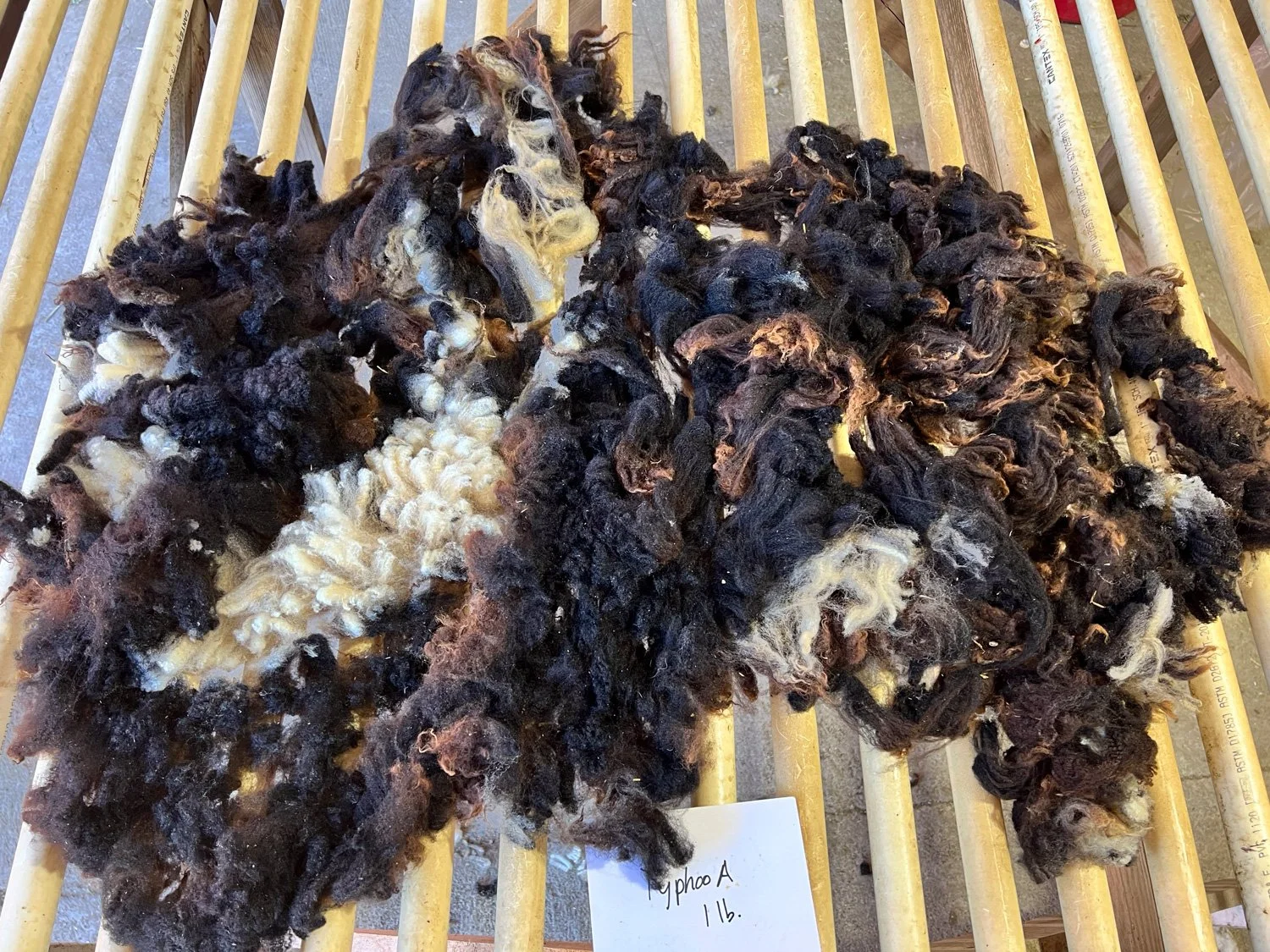 Wool Fleece & Fiber