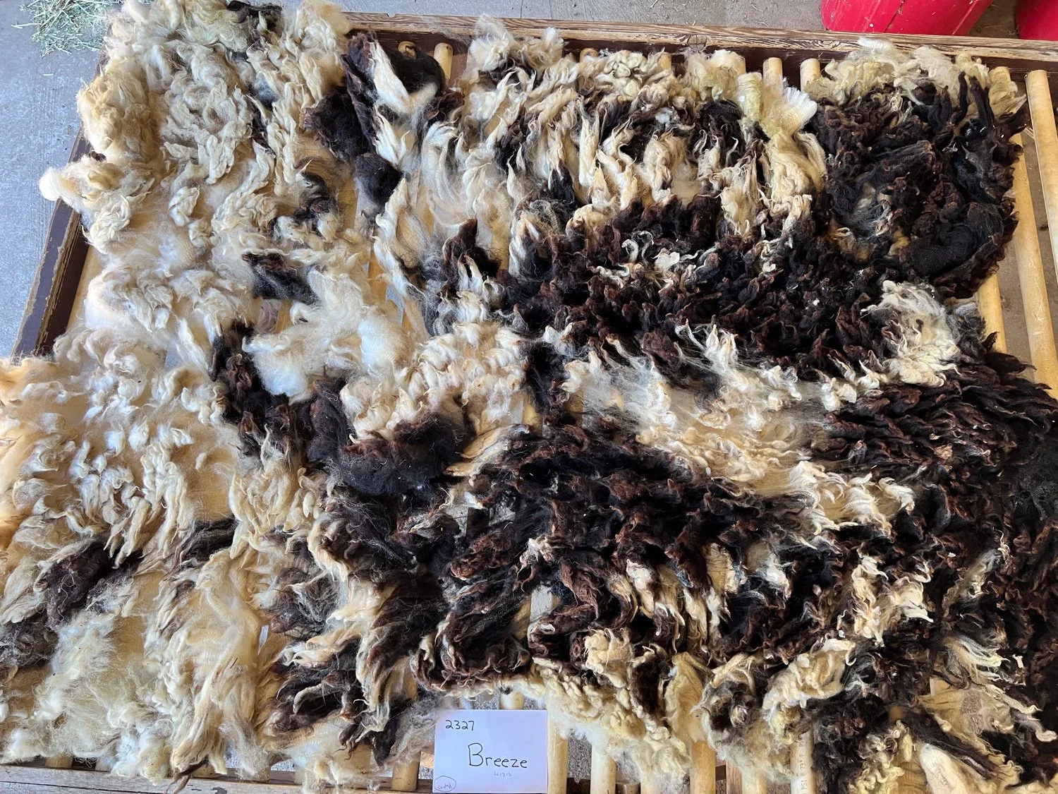 Wool Fleece & Fiber