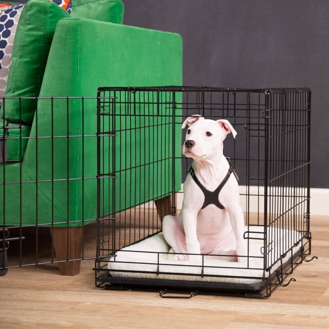 How To Crate Train Your Puppy How To Crate Train Your Puppy