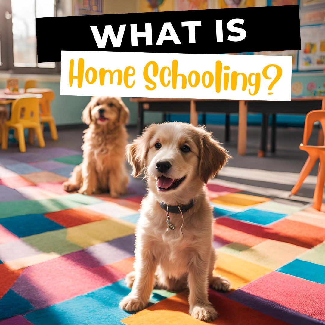 What Is “Home Schooling” Dog Training?