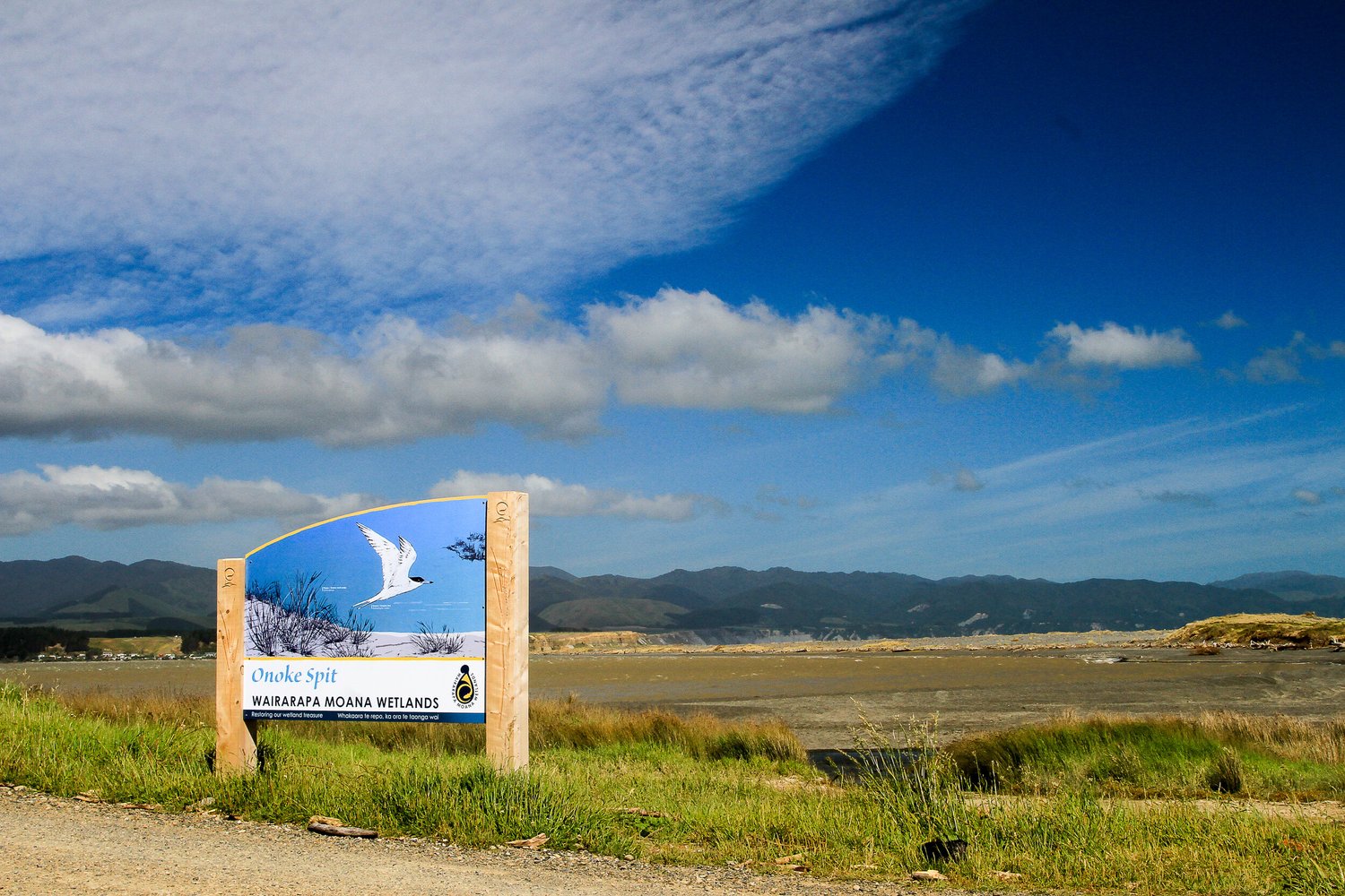 Ōnoke Spit and Kiriwai Lagoon — Wairarapa Moana Wetlands Project