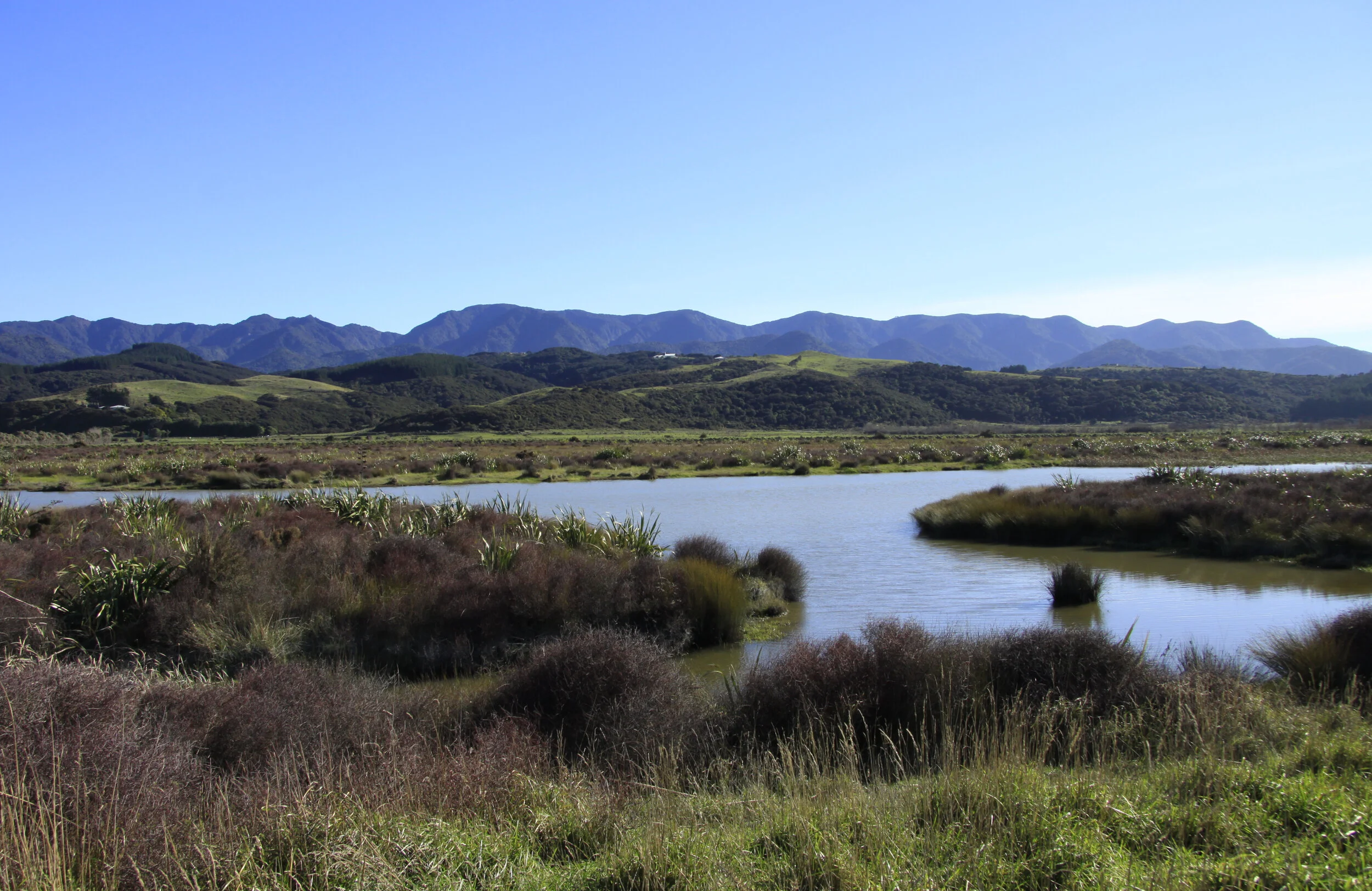Pounui Lagoon — Wairarapa Moana Wetlands Project
