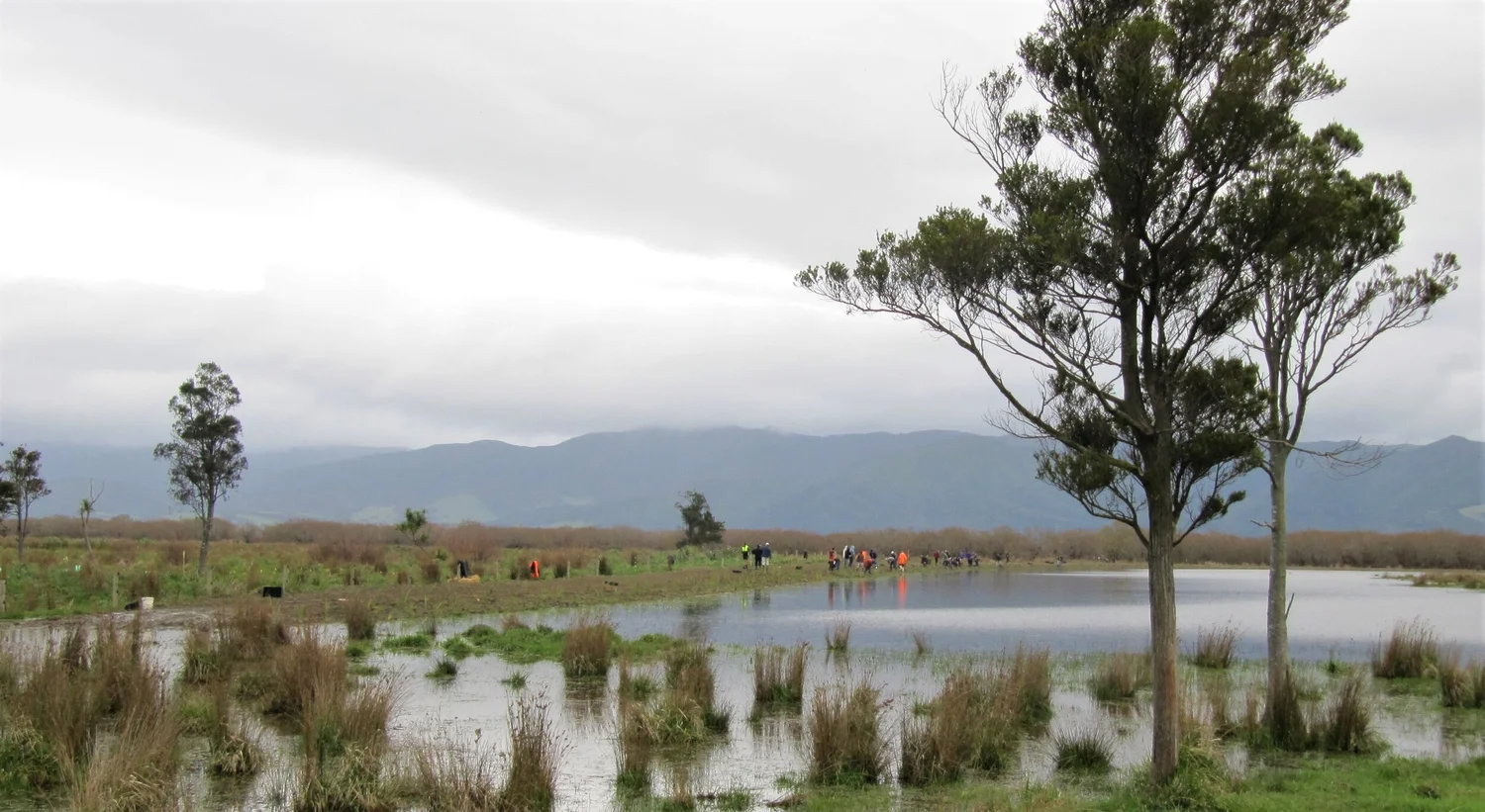 Explore the Moana — Wairarapa Moana Wetlands Project