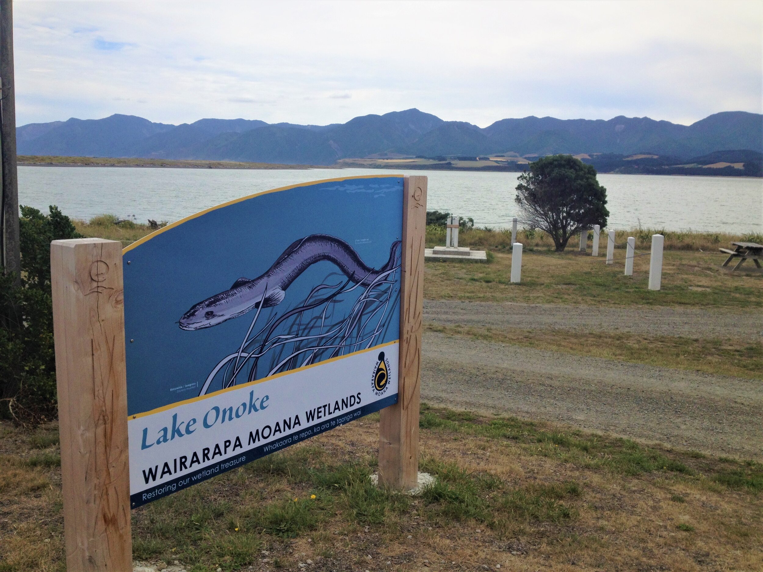 Explore the Moana — Wairarapa Moana Wetlands Project