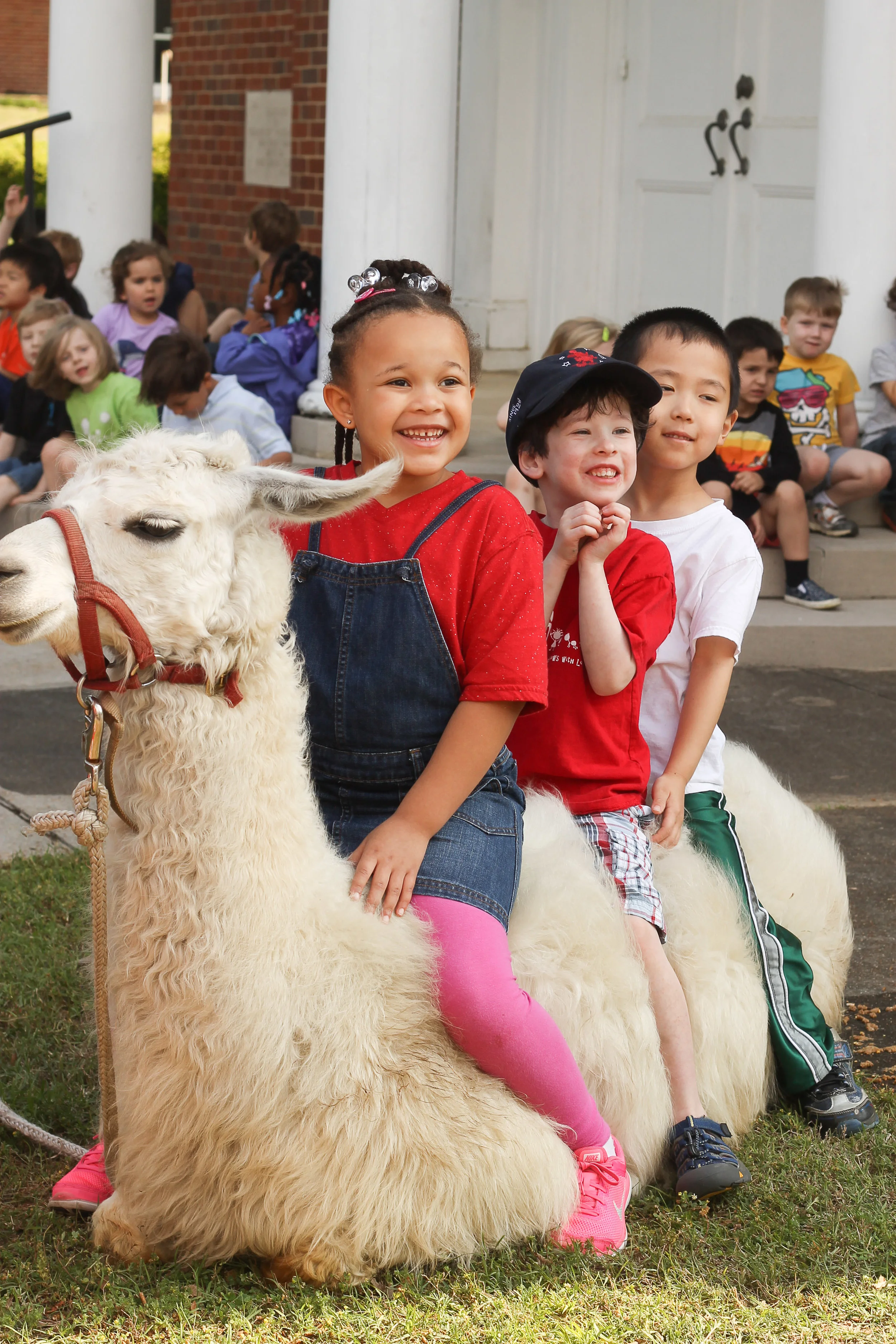 DinoFours — Lindenwood Christian Childcare Center