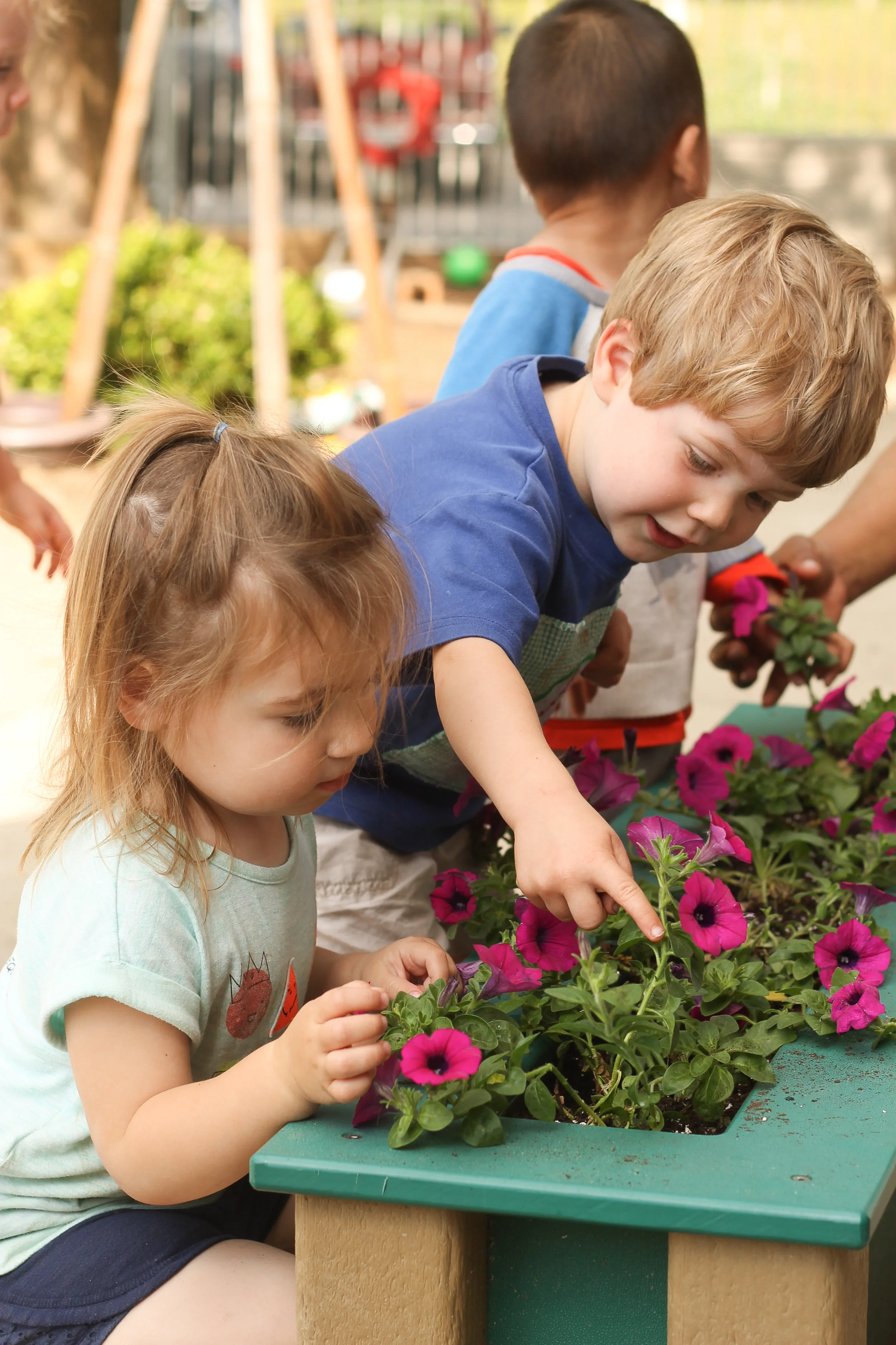 Enrollment — Lindenwood Christian Childcare Center