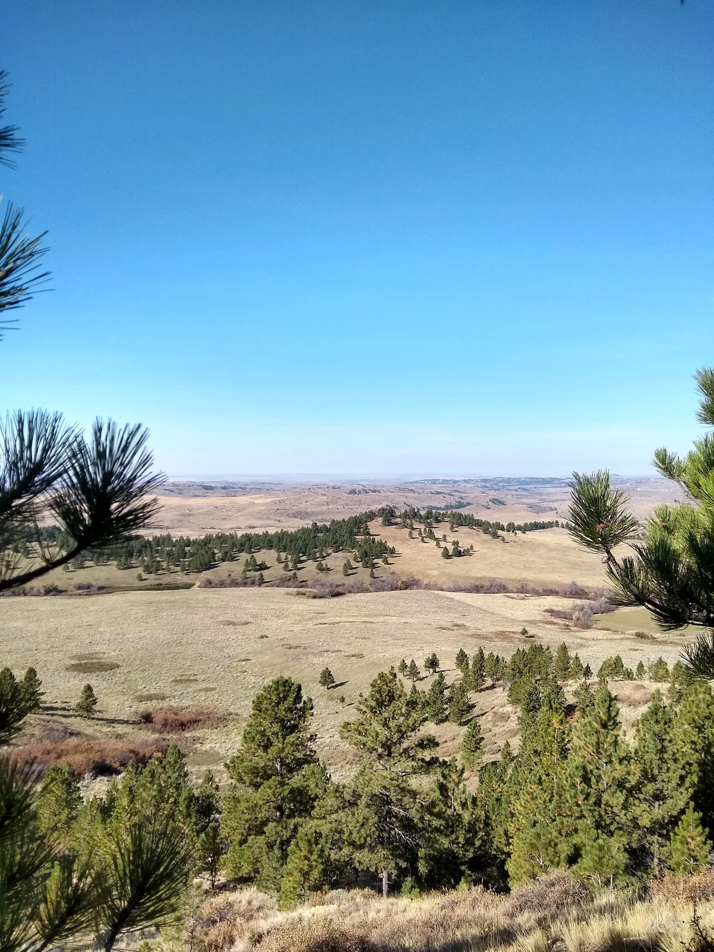 Trail to Little Big Horn — LBHA