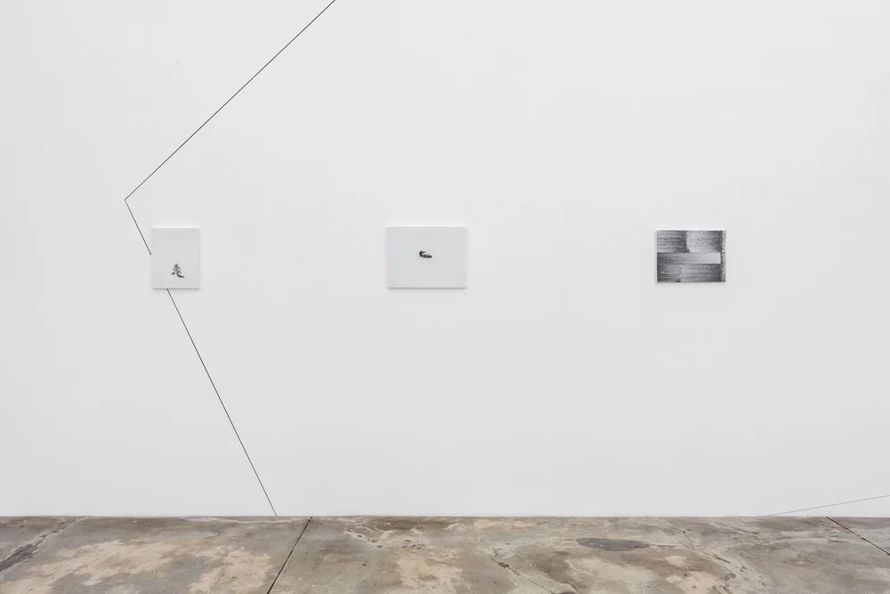 James Busby, Suspirium — Lowell Ryan Projects