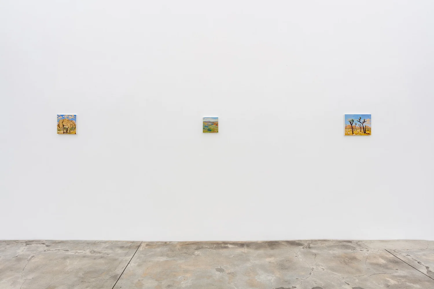 Rachel Rickert, Wind and Rattlesnakes — Lowell Ryan Projects