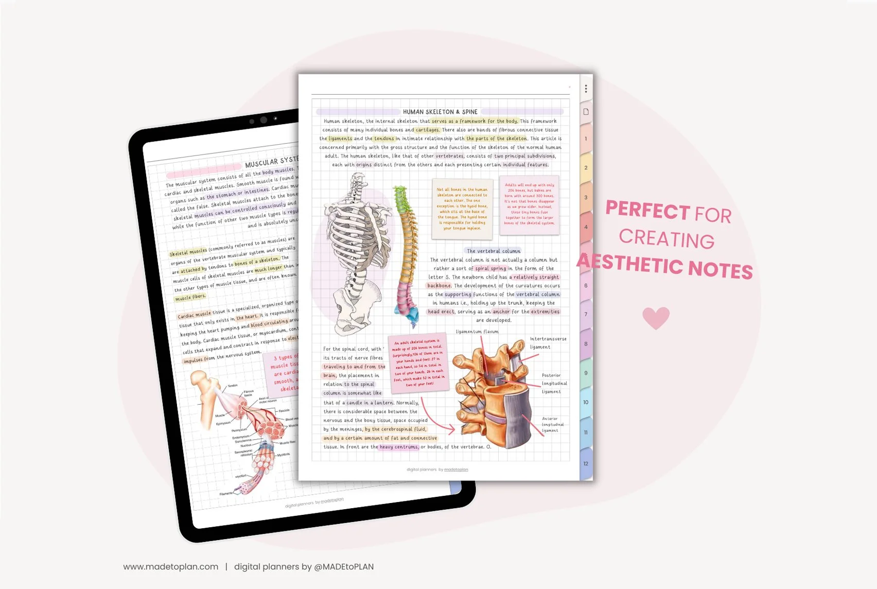 Kate's Journal Handwritten Font Bundle — 2024 Digital Planners by ...