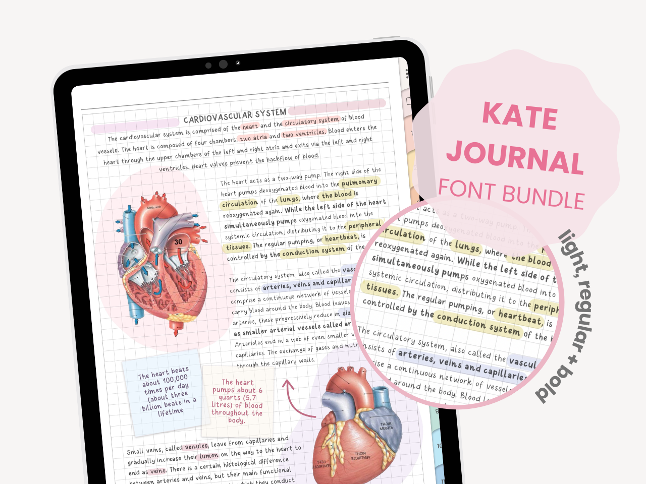 NEW Kate's Journal Handwritten Font Bundle — 2024 Digital Planners by ...