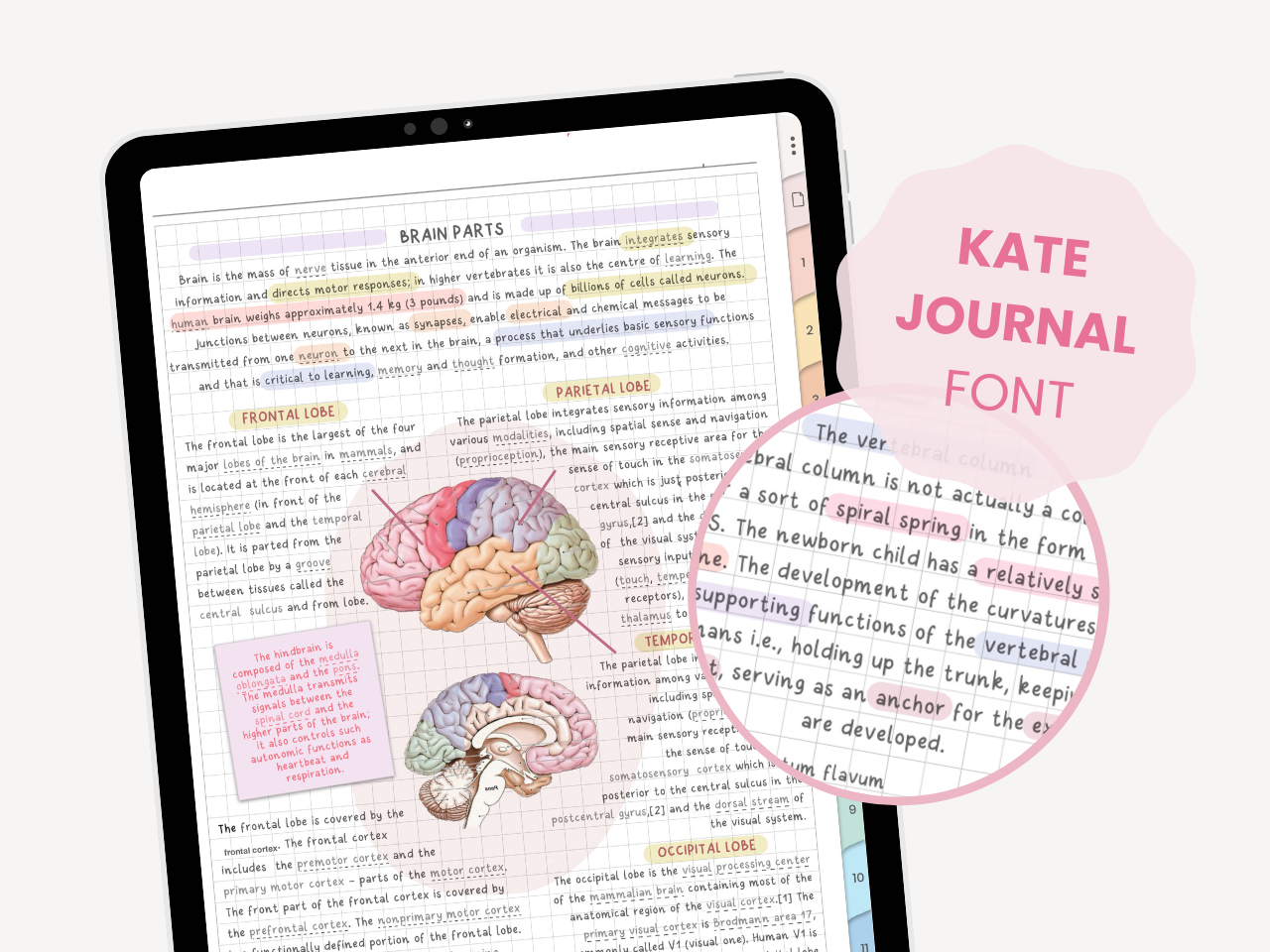 Kate's Journal Handwritten Font — 2024 Digital Planners by MADEtoPLAN
