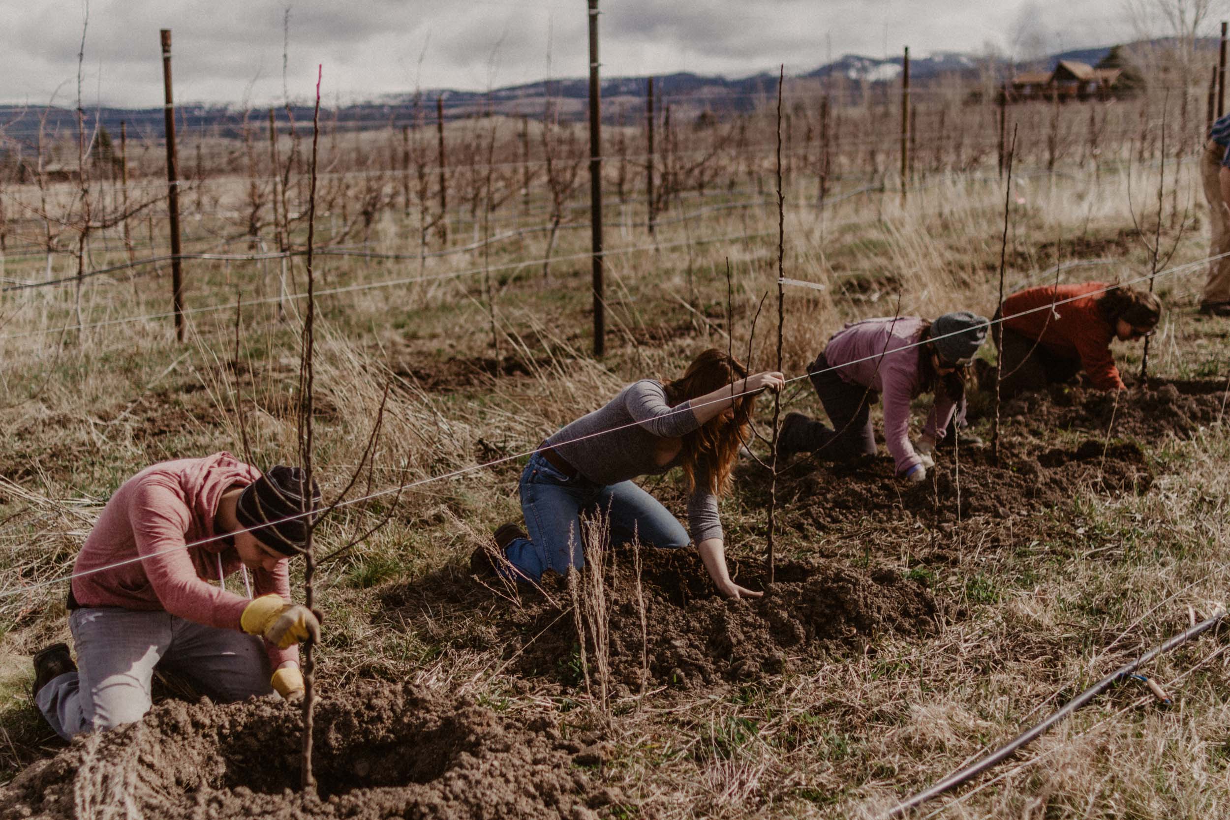 Team — Western Cider
