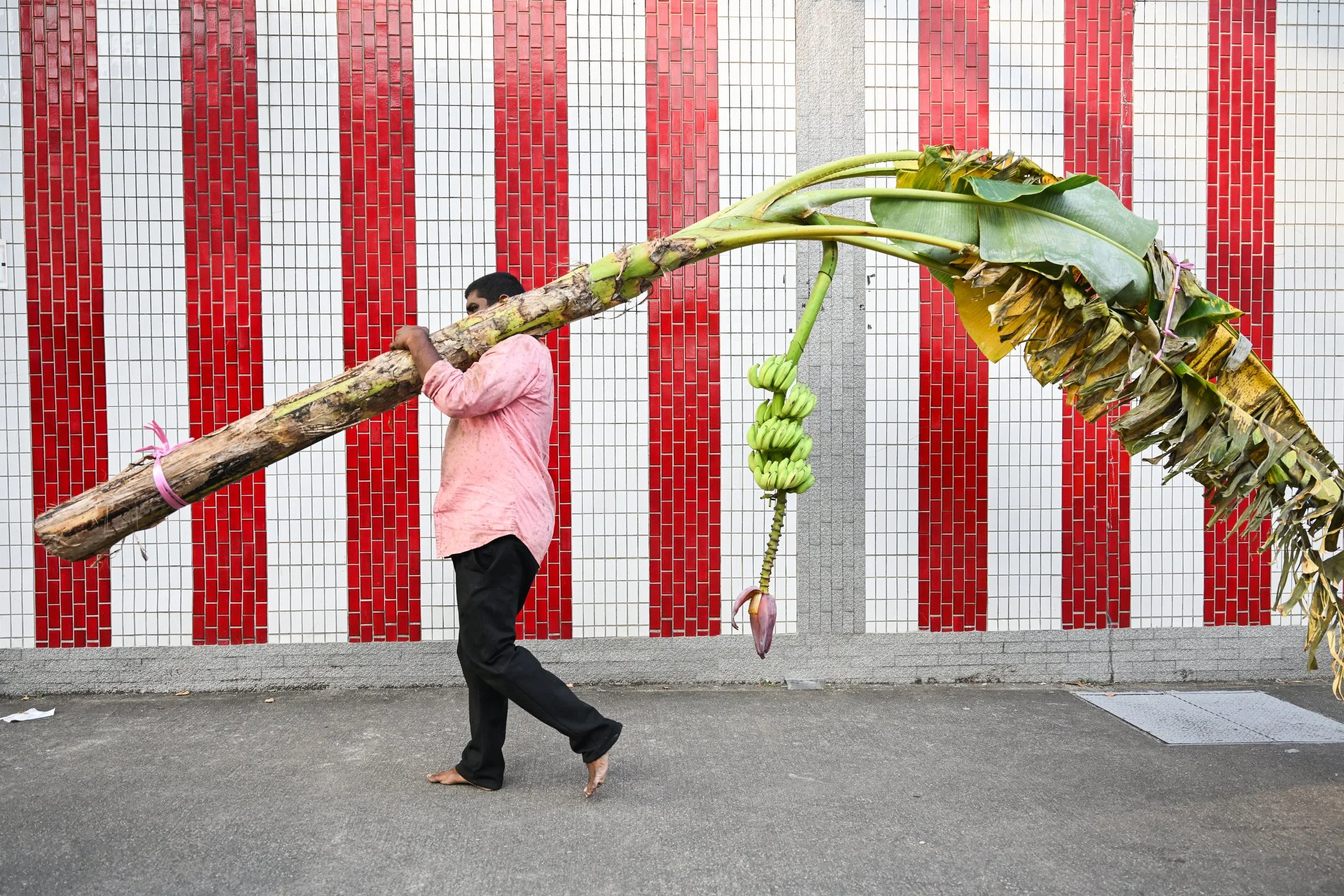 2024 in Pictures — Shintaro Tay