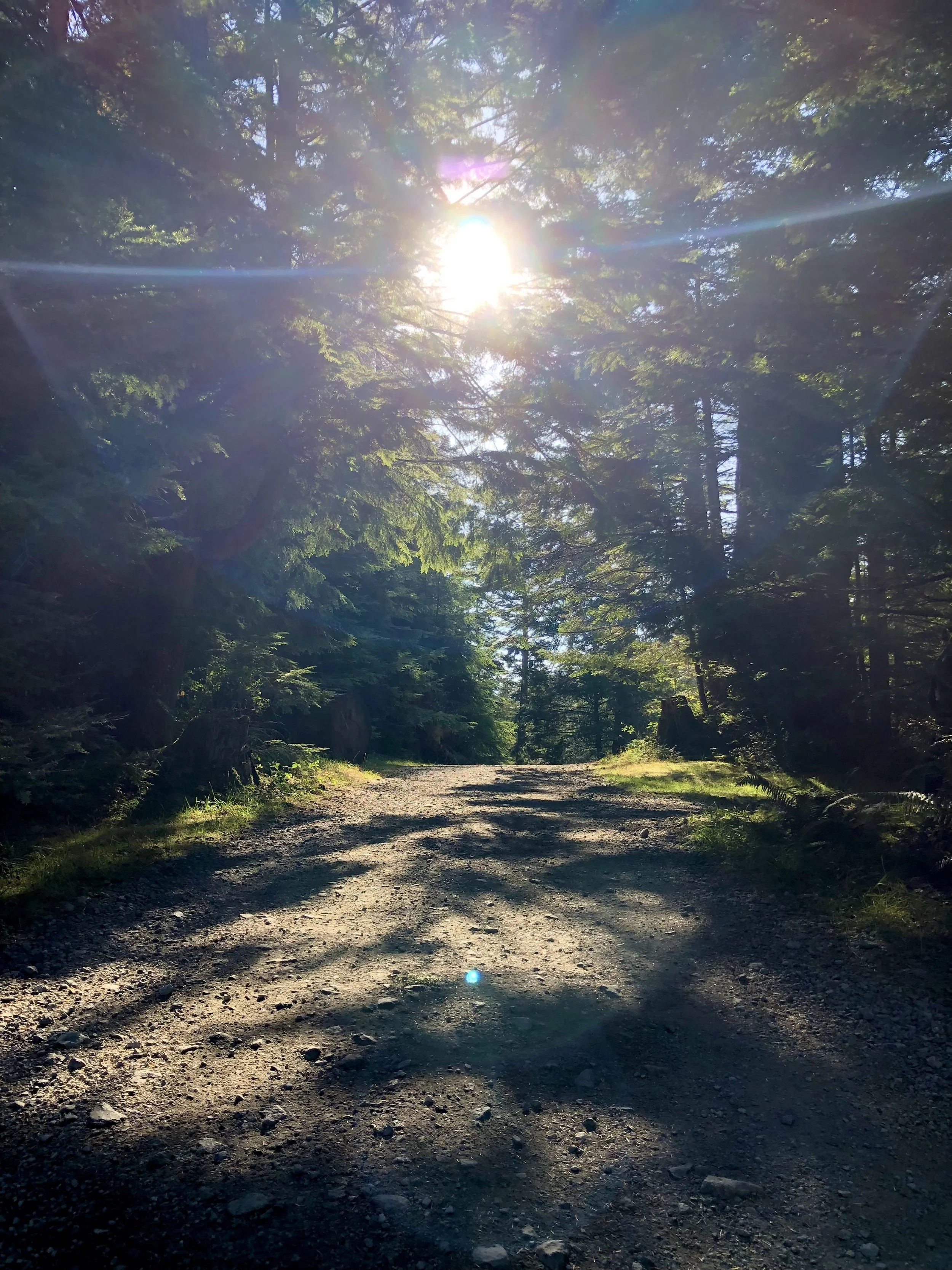 Summer Camps and Event Location BC | Camp Fircom