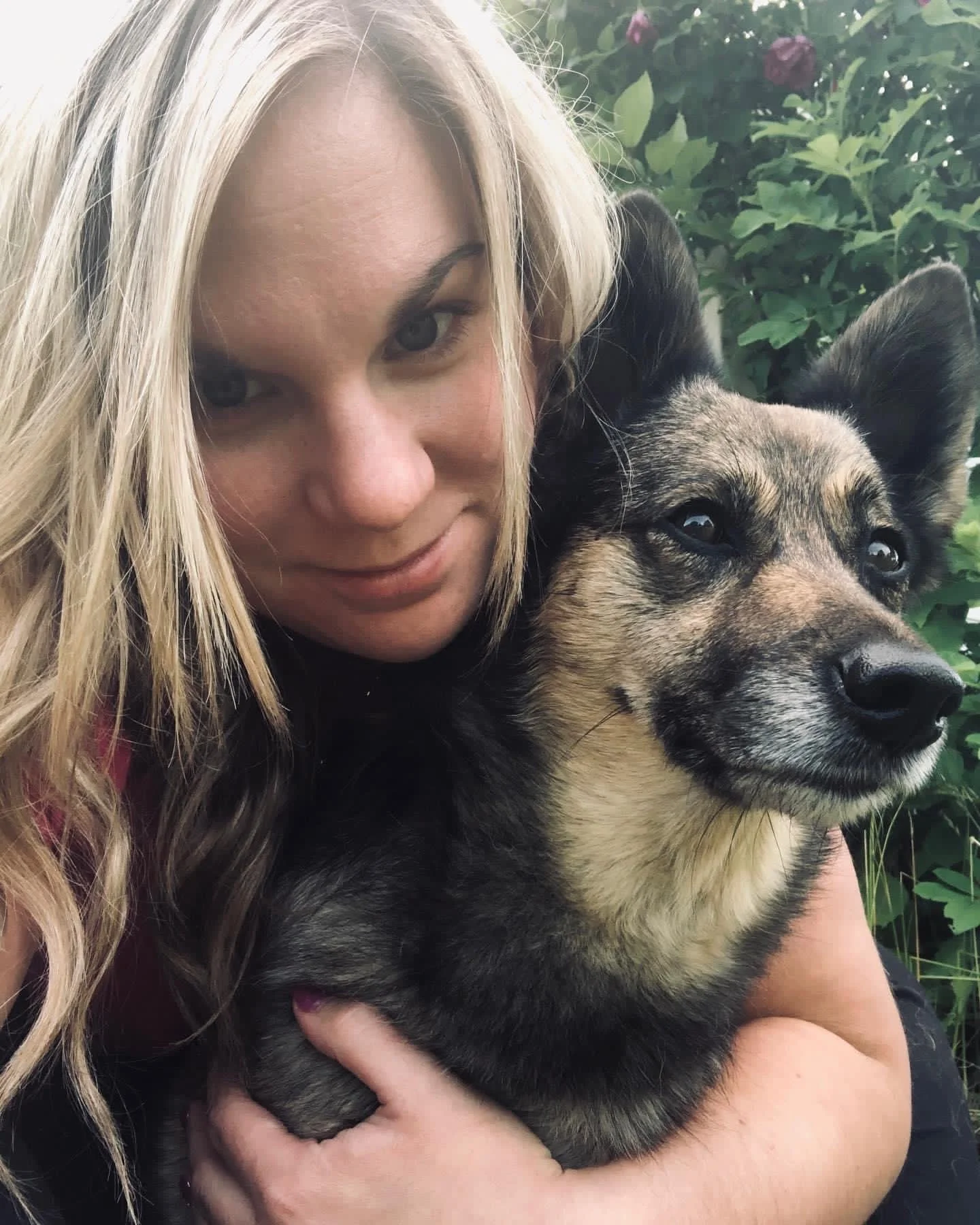 Adeline Animal Hospital — Adeline Animal Hospital