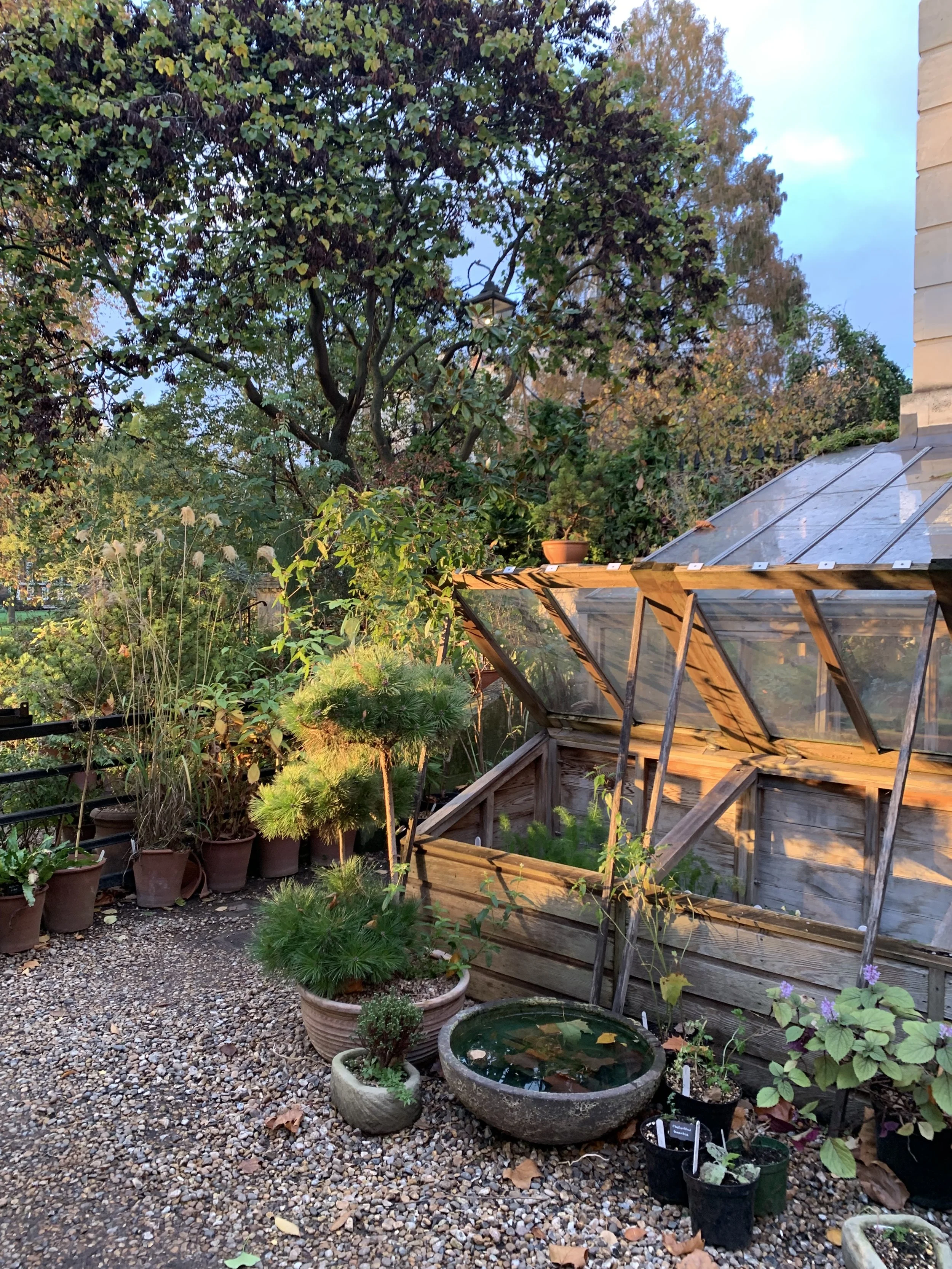 What to Plant in March — Meadowlark Journal