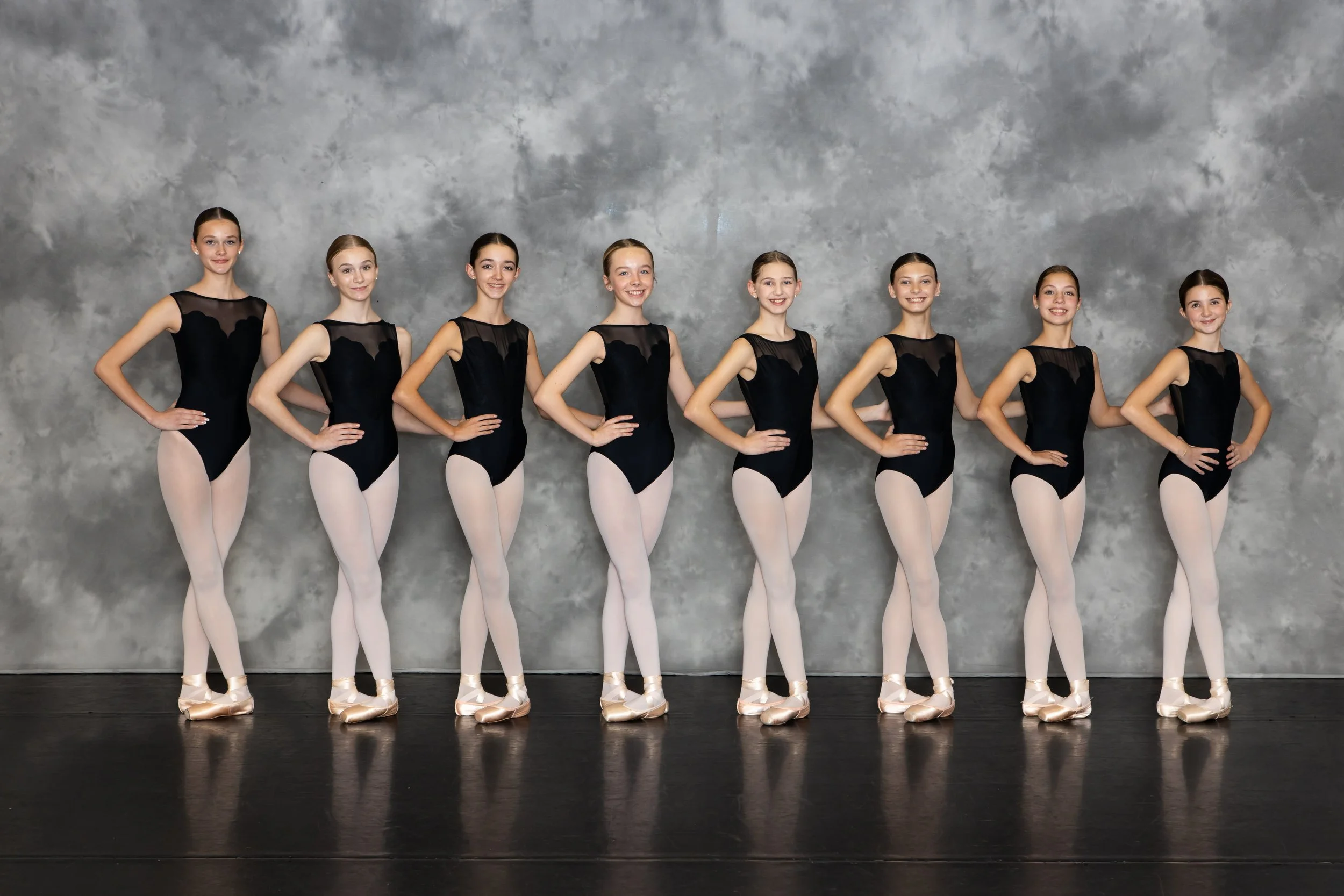 Mission — Central Indiana Dance Ensemble