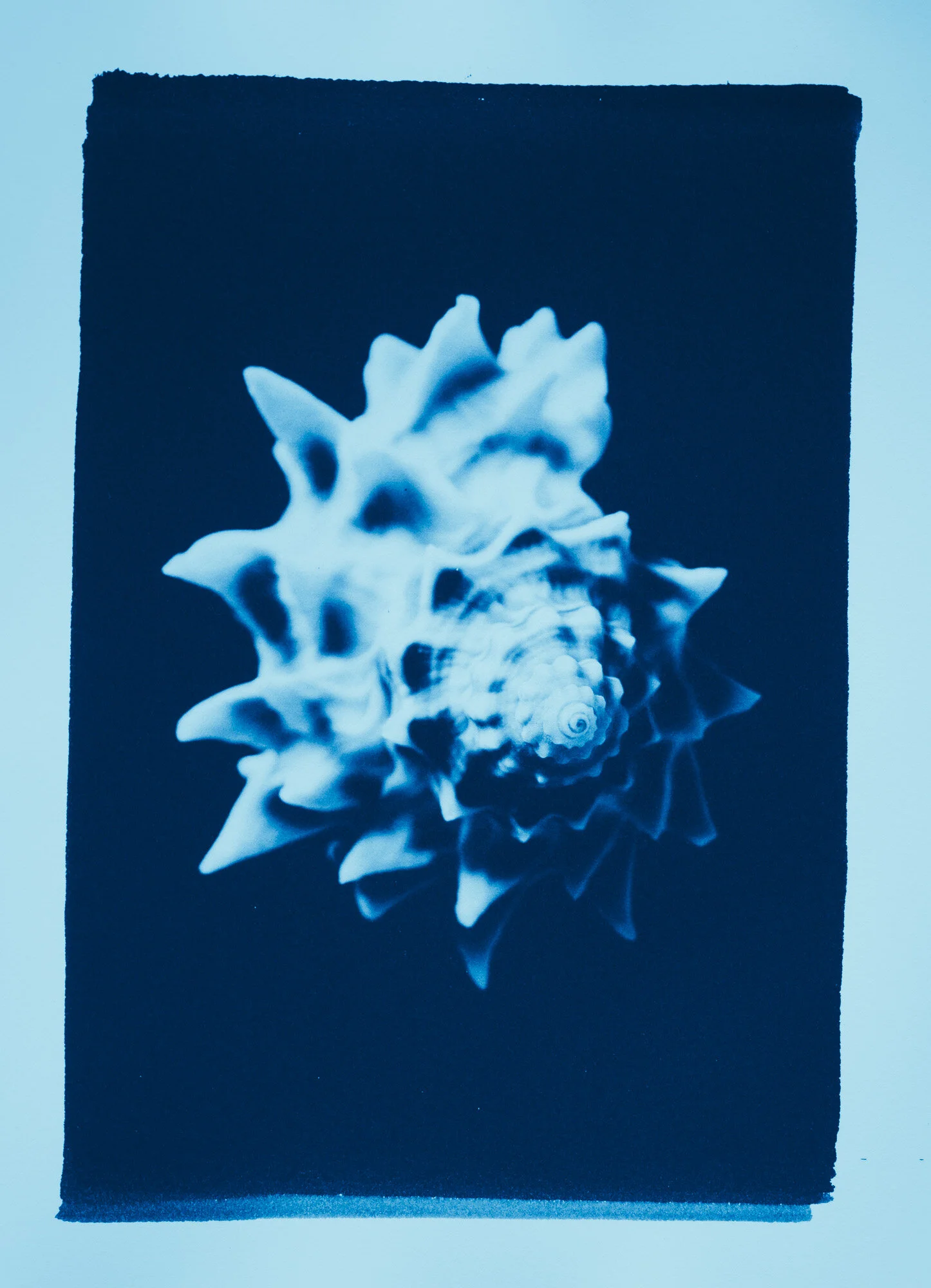 Seamus A Ryan - Photography — Introduction to Alternative Printing ...