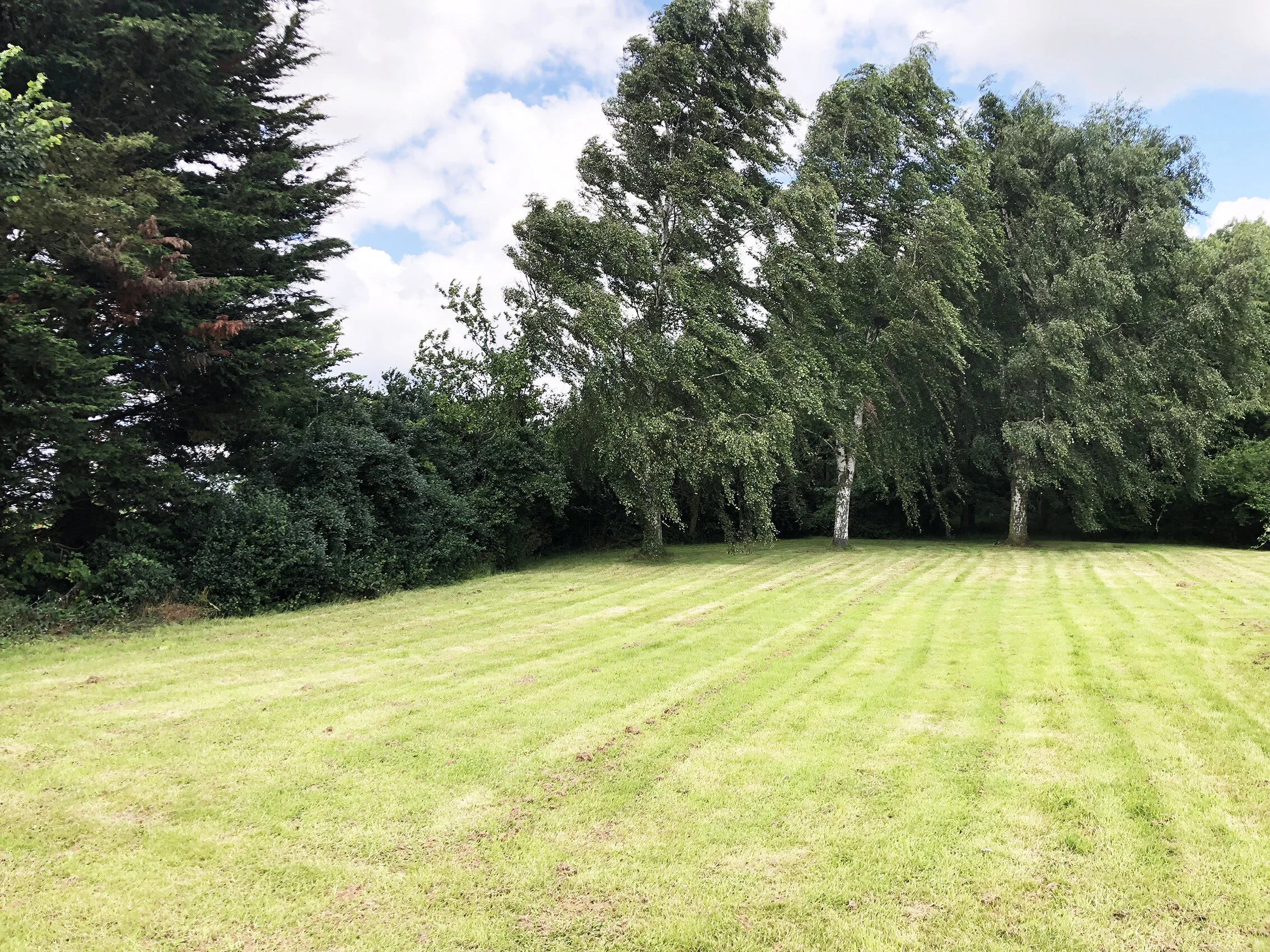 Ladyville Lodge Care Home — EACH OTHER CARE