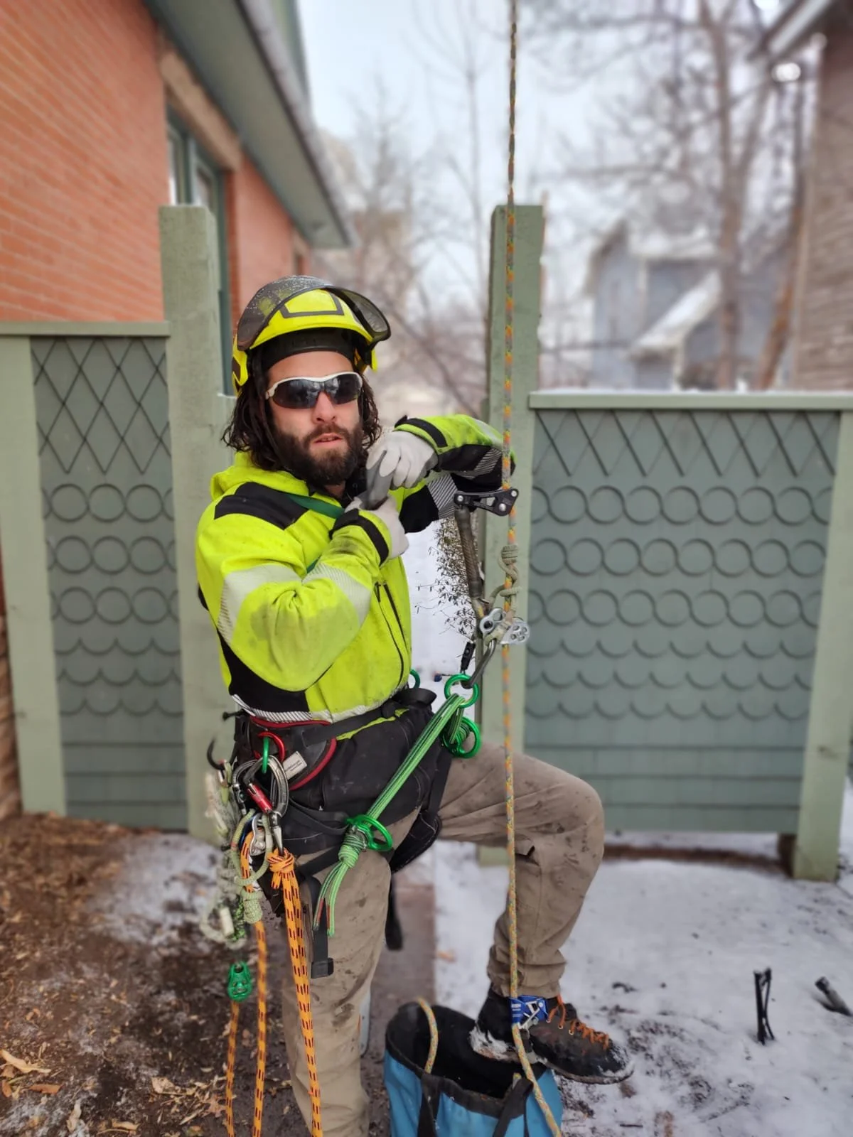 About Us — Geesaman Tree Company | Tree service, tree removal, tree ...