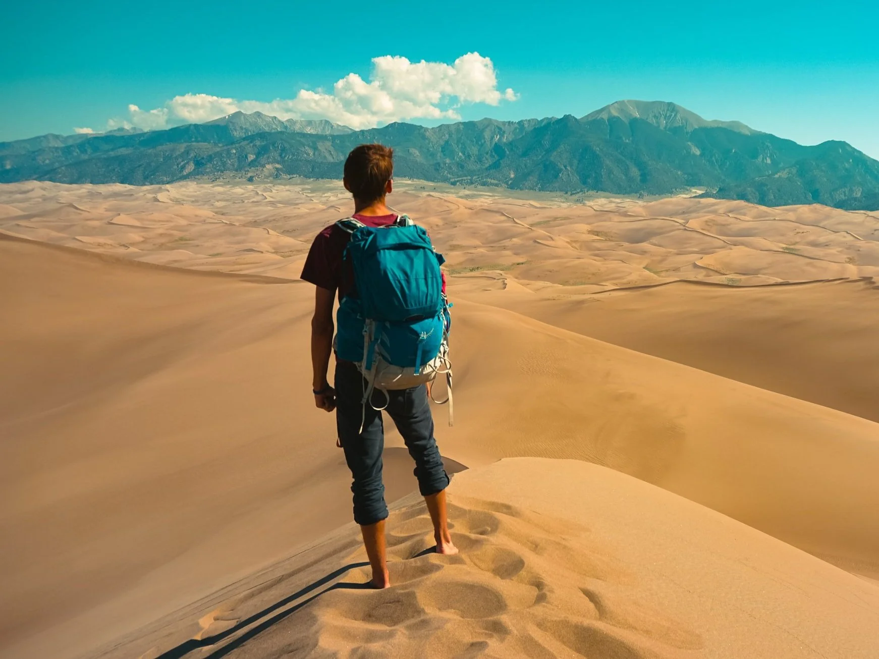 Hyperfocus Arts | Video and Animation Maker