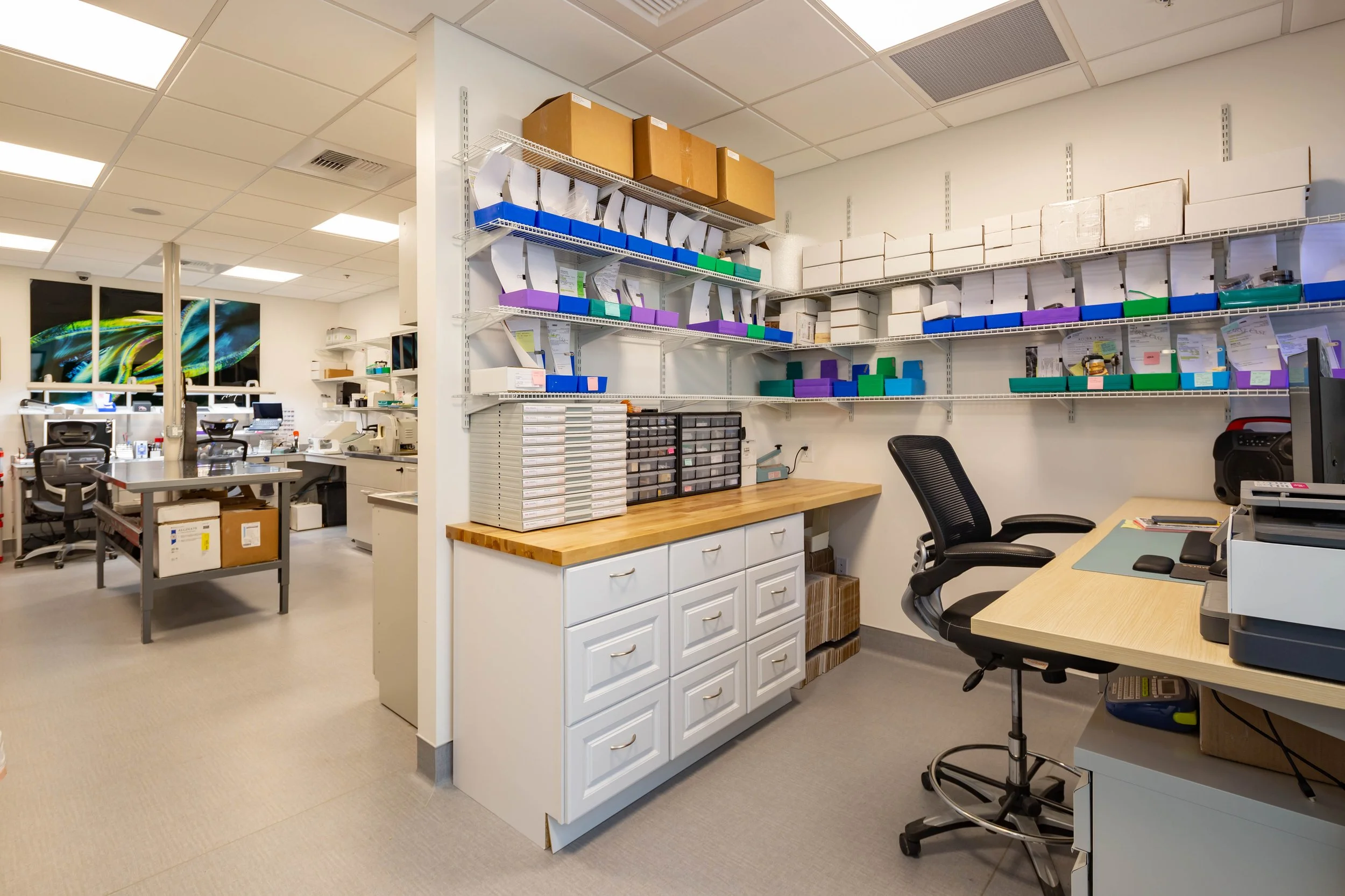 Dr. Stewart DDS T.I — NK Builders Inc