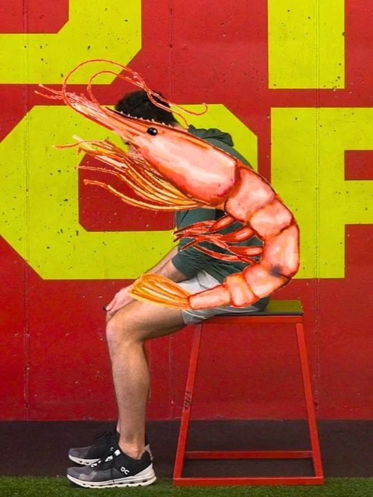I Wasted Two Years Trying to Fix My Forward Head Posture - Here's What ...