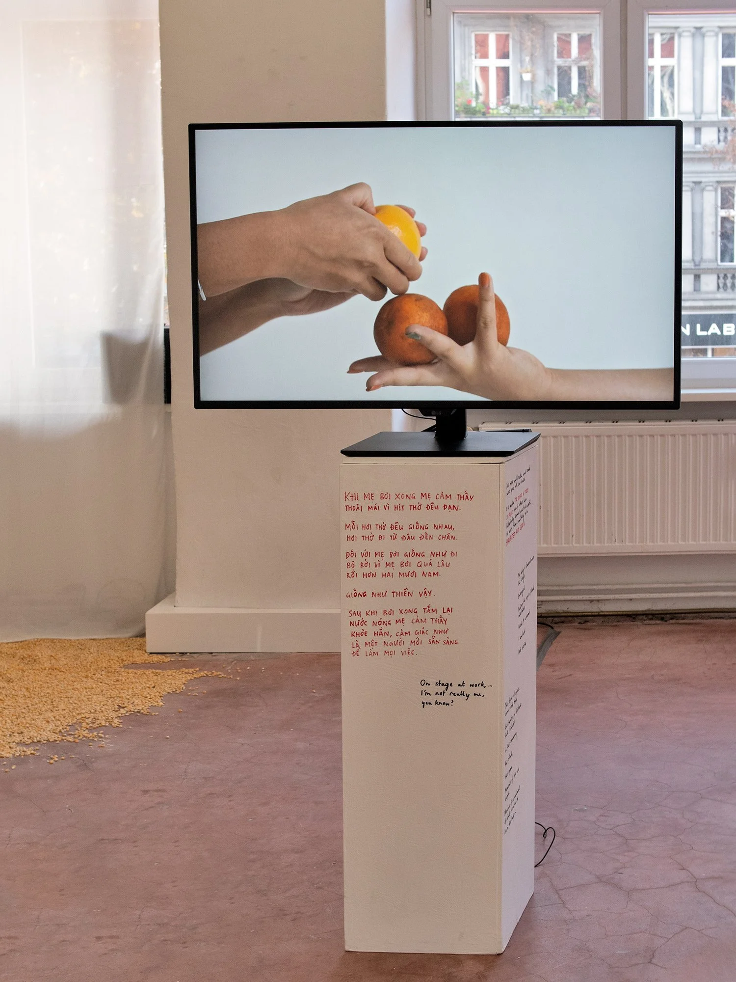 SHADOW — Reina Takeuchi