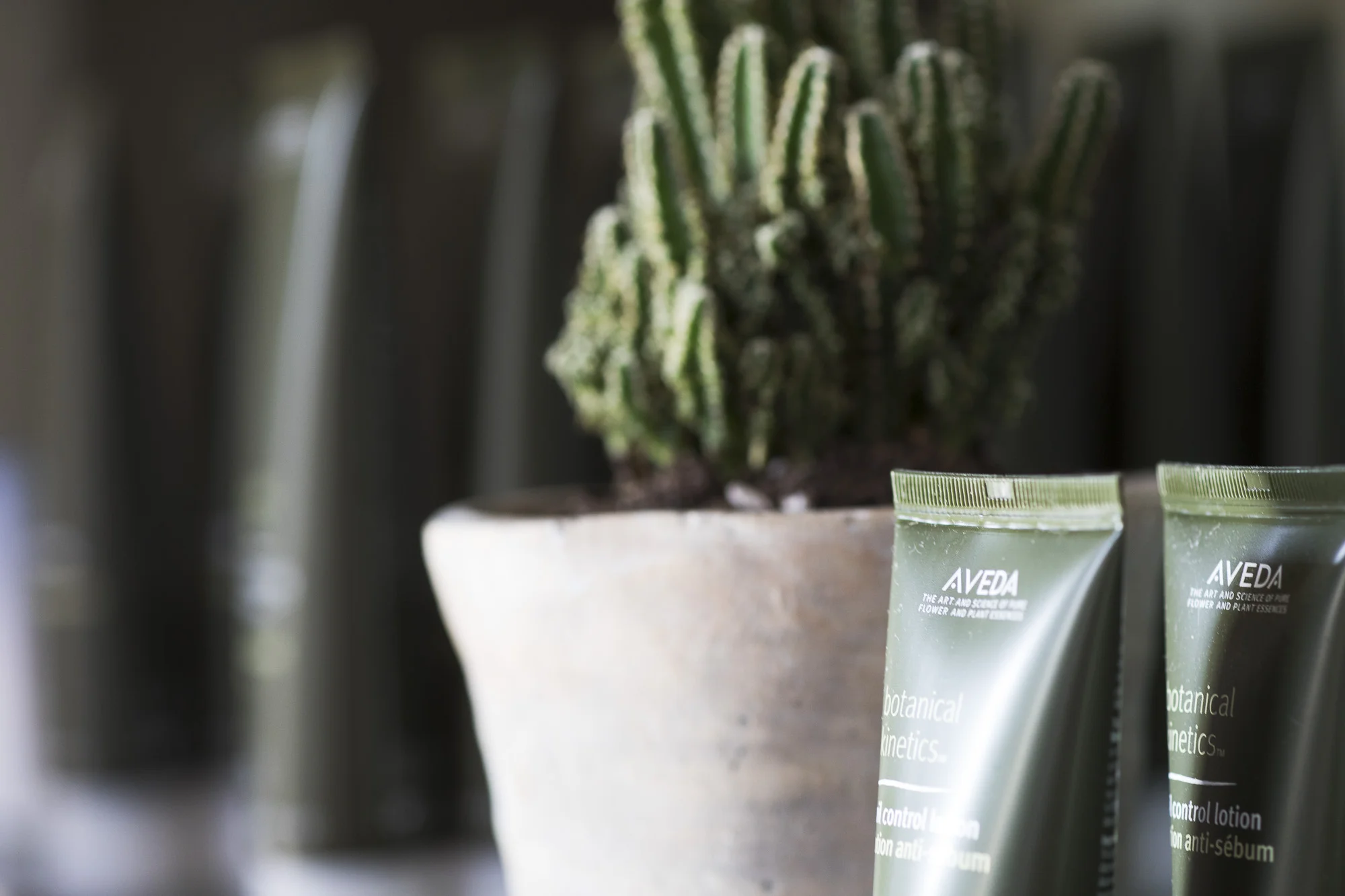 Adeva Salon and Spa